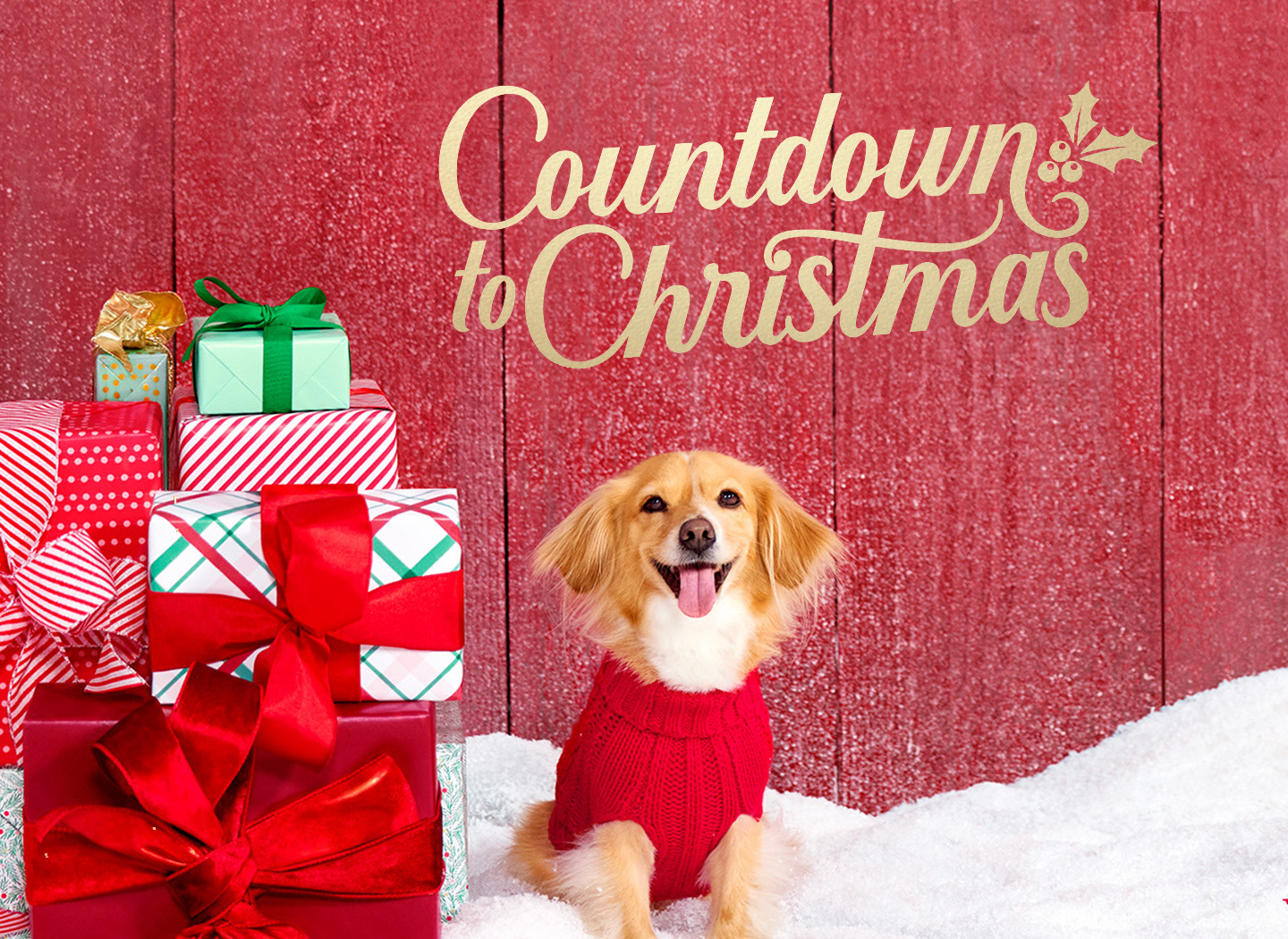 Greeting Cards, Christmas Ornaments, and Gifts